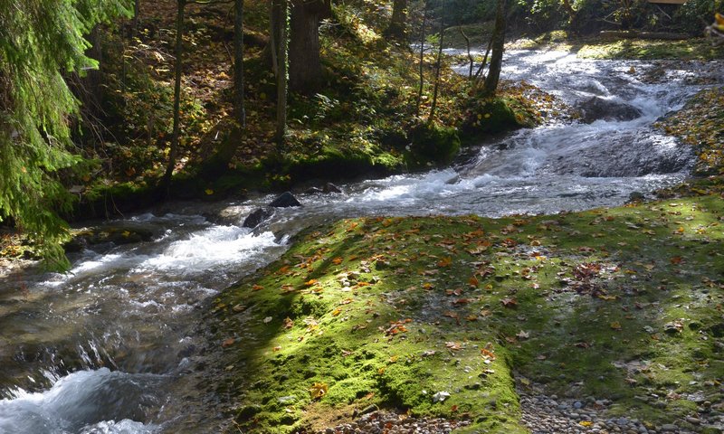 Naturparadies Scheidegger Wasserfälle | Scheidegg im Allgäu